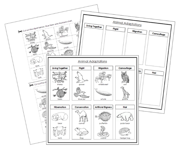 Animal Adaptations Sorting Cut & Paste - Montessori Print Shop Digital ...
