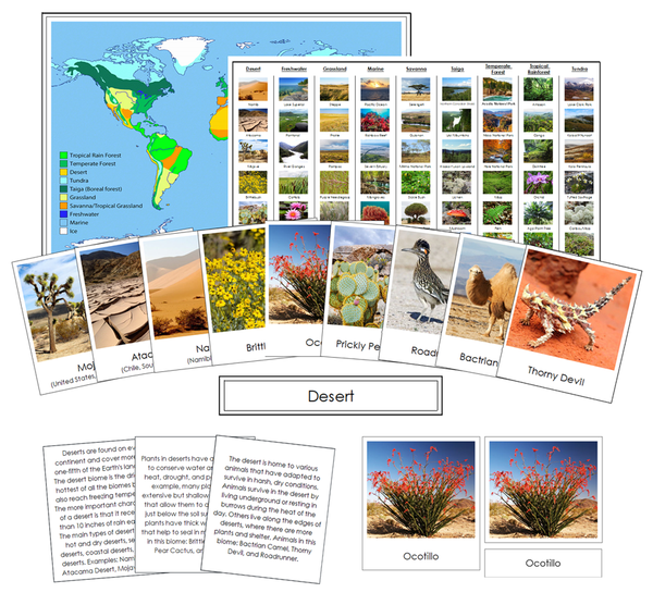 Printable Montessori Botany Lessons - Montessori Print Shop