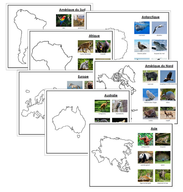 Animals of the Continents (Set 1) FRENCH - Montessori Print Shop ...