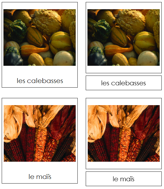 French - Autumn Season - Les cartes de las saison d'hiver - Montessori ...