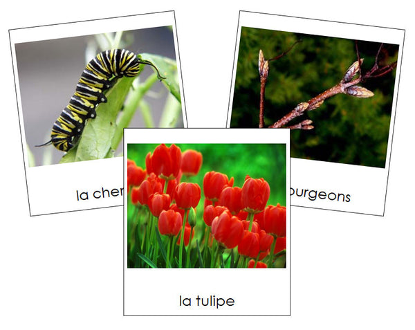 French - Spring Season - Les cartes de saison de printemps - Montessori ...