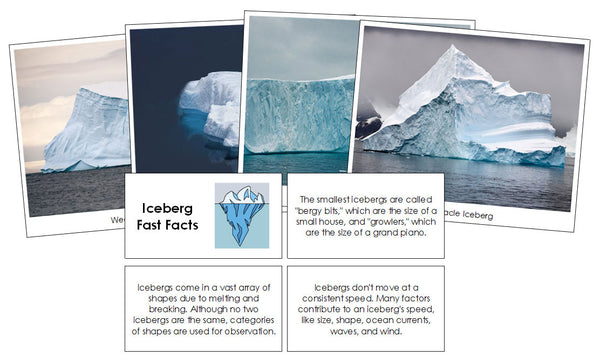 Iceberg Fast Facts & Pictures - Montessori Print Shop Digital Download