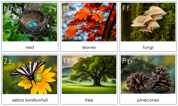 Phonetic Nature Alphabet Cards - Montessori Print Shop Digital Download