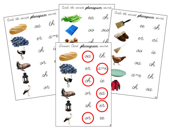 Phonogram Sound Choice Cards Set 1 Step 3 (photos) CURSIVE - Montessori ...