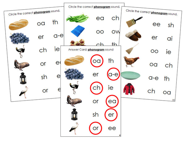 Phonogram Sound Choice Cards Set 1 Step 3 (photos) - Montessori Print ...