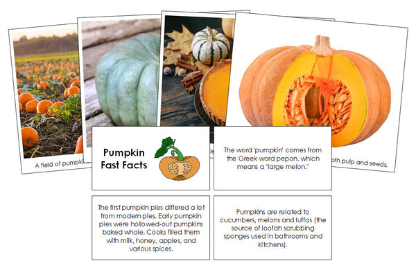 Pumpkin Fast Facts & Pictures - Montessori Print Shop