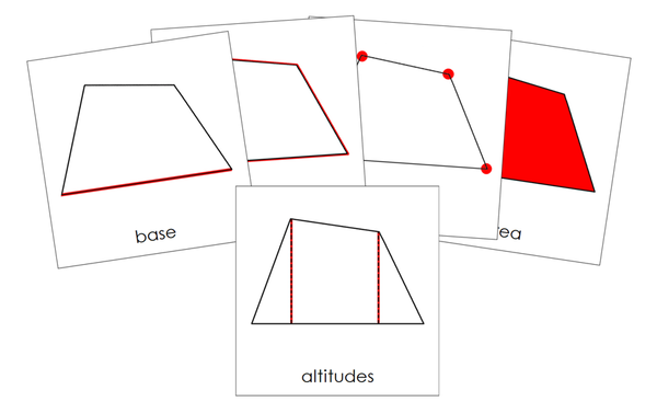 Study of a Quadrilateral Cards - Montessori Print Shop Digital Download