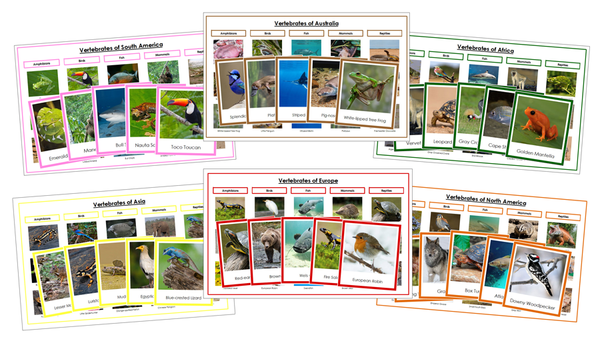 Products Page 62 - Montessori Print Shop