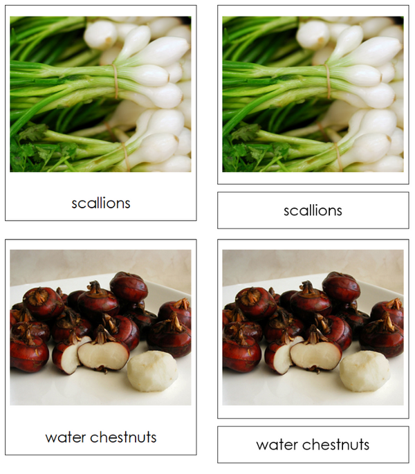 Types of Bulb Vegetables 3-Part Classified Cards - Montessori Digital ...