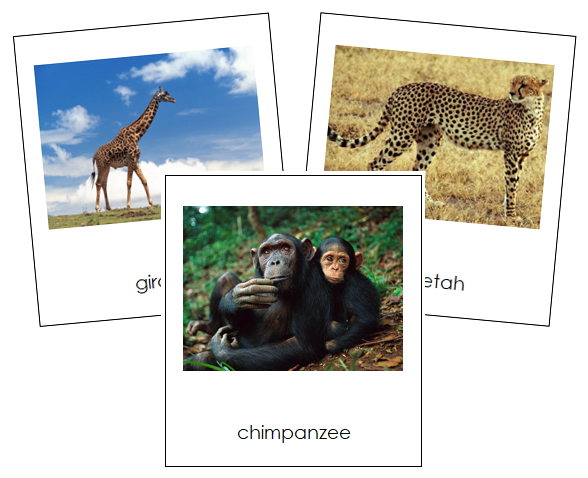 African Animals - Montessori Print Shop