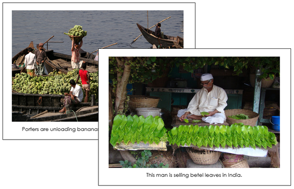 World Continent Cards Bundle - Montessori Print Shop