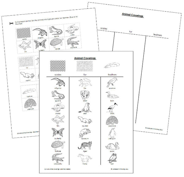 Animal Coverings: Scales, Feathers and Fur Sorting (Blackline Masters ...