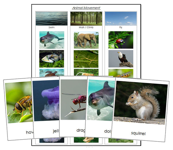 Animal Movement (Swim, Walk, Fly) - Montessori Print Shop Digital Download