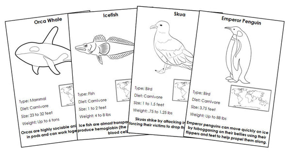 Animals of Antarctica Blackline Masters - Montessori Print Shop