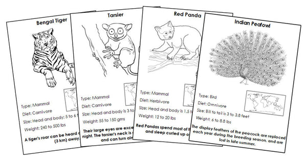 Printable Montessori Animal Lessons - Montessori Print Shop Page 2