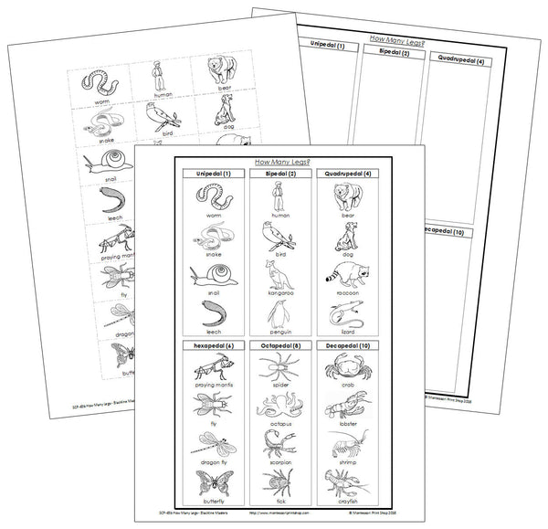 How Many Legs Sorting (Blackline Master) by Montessori Print Shop