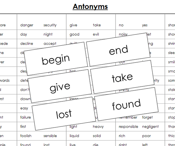 Primary Grammar Cards - Montessori Print Shop Digital Download