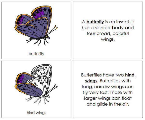 Butterfly Nomenclature Book - Montessori Print Shop