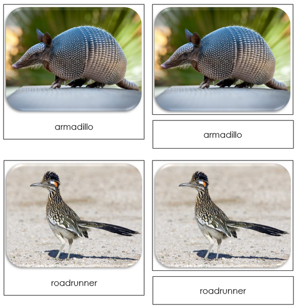 Desert Safari Toob Cards - Montessori Print Shop