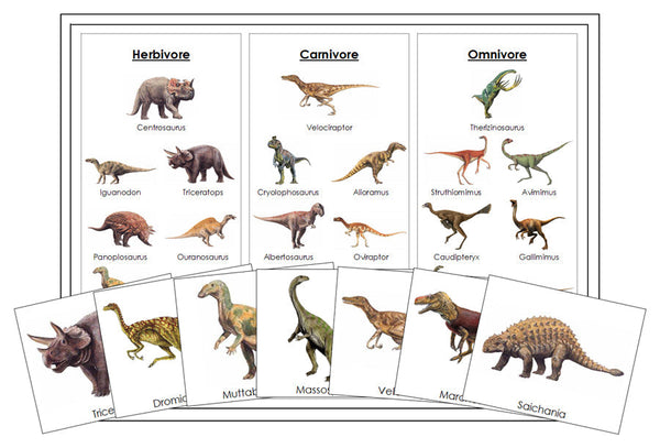 dinosaur types chart