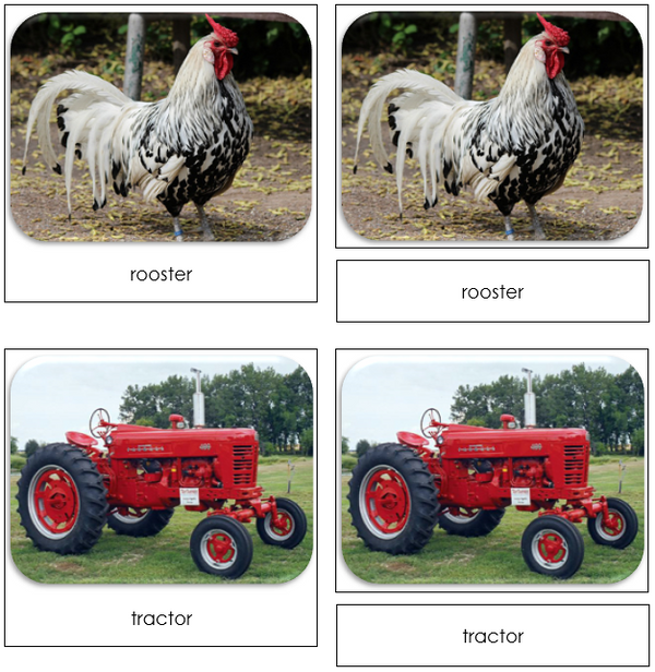 Down On The Farm Safari Toob Cards - Montessori Print Shop