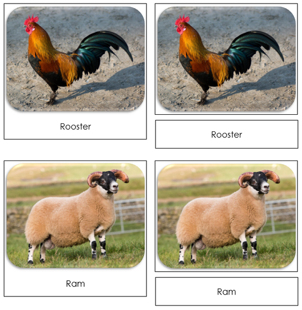 Farm Safari Toob Cards - Montessori Print Shop