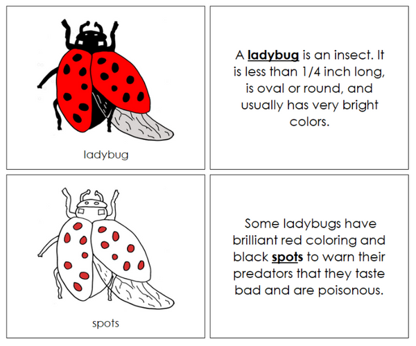 Parts of a Ladybug Nomenclature Book (red) - Montessori Print Shop ...