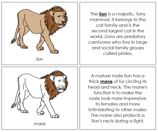 Parts of a Lion Nomenclature Book - Montessori Print Shop Digital Download