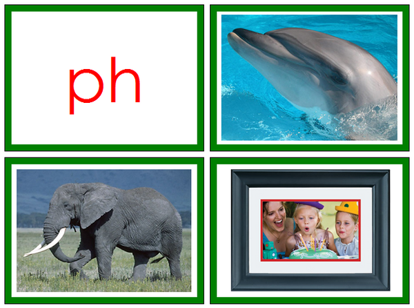Green Montessori Moveable Alphabet Photos (large) - Montessori Print ...