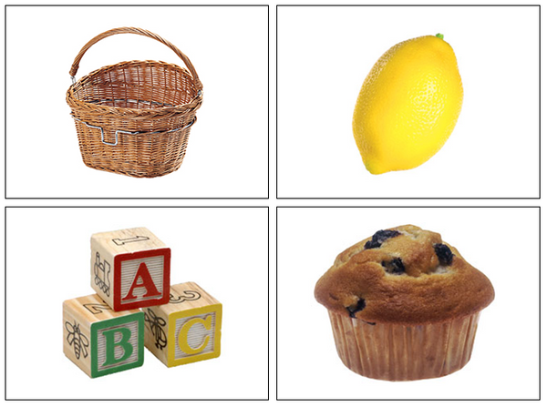 Moveable Alphabet Photos Step 2 (large) - Montessori Print Shop Digital ...