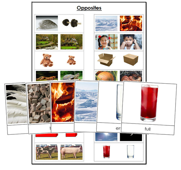 Opposites with Pictures - Montessori Print Shop