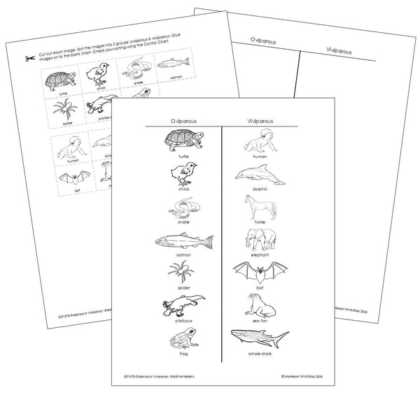 Oviparous and Viviparous Animals (Blackline Masters) - Montessori ...