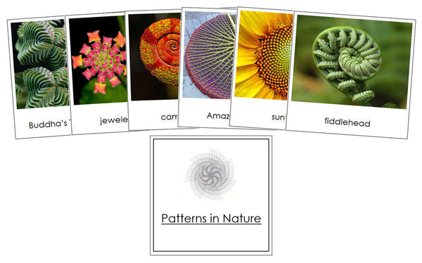 Patterns In Nature - Montessori Print Shop Digital Download