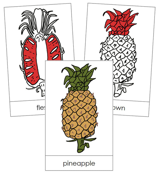 Pineapple Nomenclature Cards (red) - Montessori Print Shop