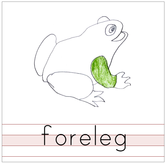 Montessori Pink-Lined Nomenclature Paper - Montessori Print Shop