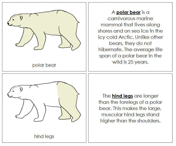 Polar Bear Nomenclature Book - Montessori Print Shop