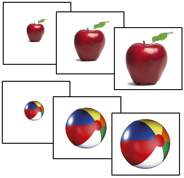 Small, Medium and Large Sequence Cards - Montessori Print Shop - Free ...