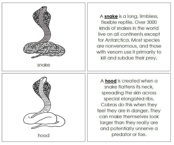 Snake Nomenclature Book - Montessori Print Shop