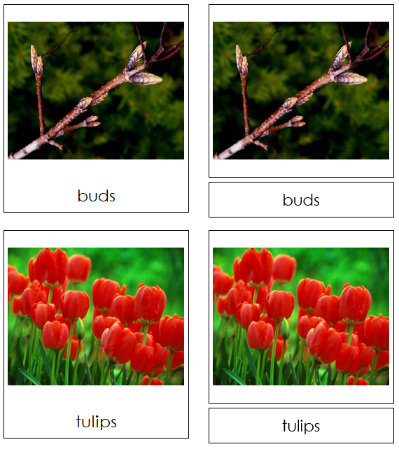 Spring Season - Montessori Print Shop