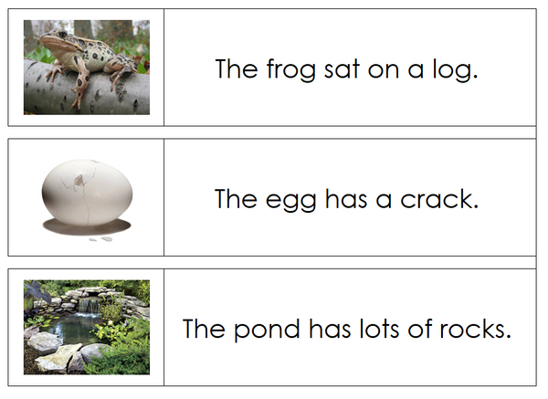 Sentence Cards Step 2, Set 1 (photos) - Montessori Print Shop