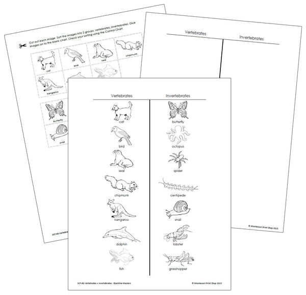 Invertebrates Pictures Printable