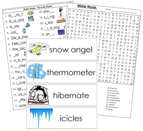 Winter Word Wall Cards - Montessori Print Shop Digital Download