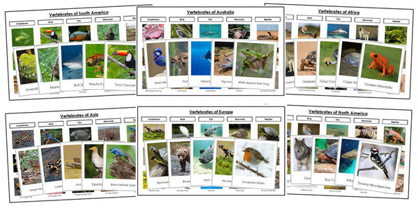 Vertebrates of the Continents Sorting Bundle - Montessori Digital ...