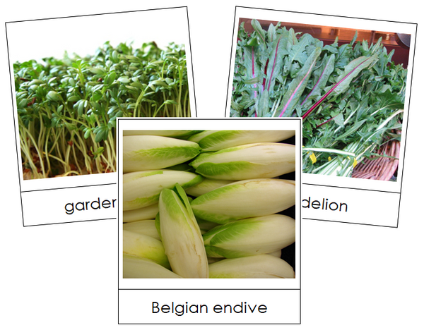 Leaf Vegetable Picture Cards (Set 2) - Montessori Print Shop