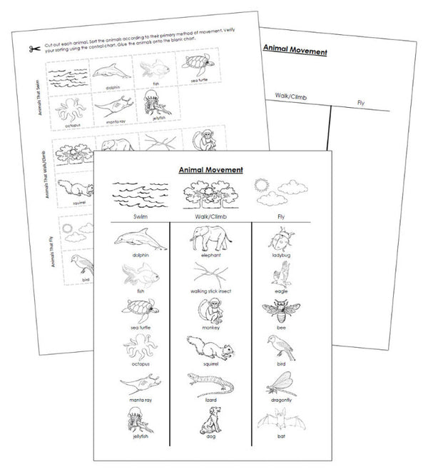 Animal Movement (Blackline Masters) - Montessori Print Shop Digital ...