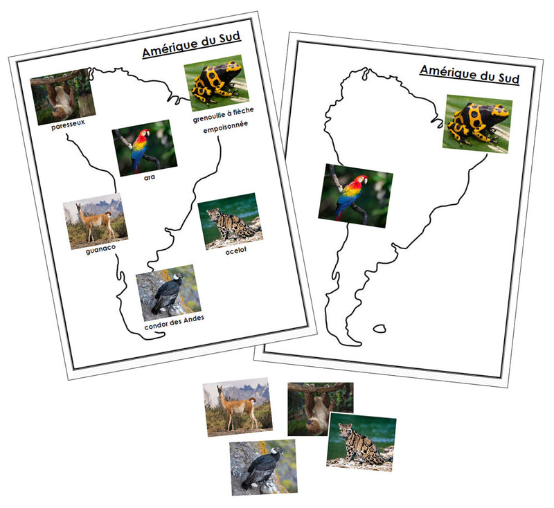 Animals of the Continents (Set 1) FRENCH - Montessori Print Shop ...