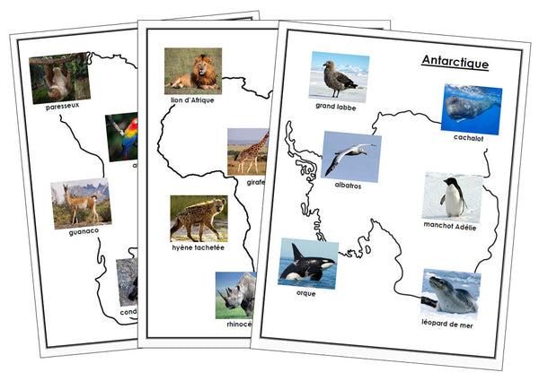 Animals of the Continents (Booklets) FRENCH - Montessori Print Shop