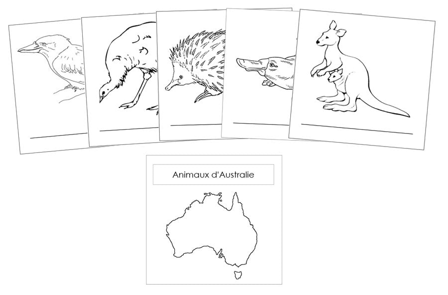Animals of the Continents (Booklets) FRENCH - Montessori Print Shop