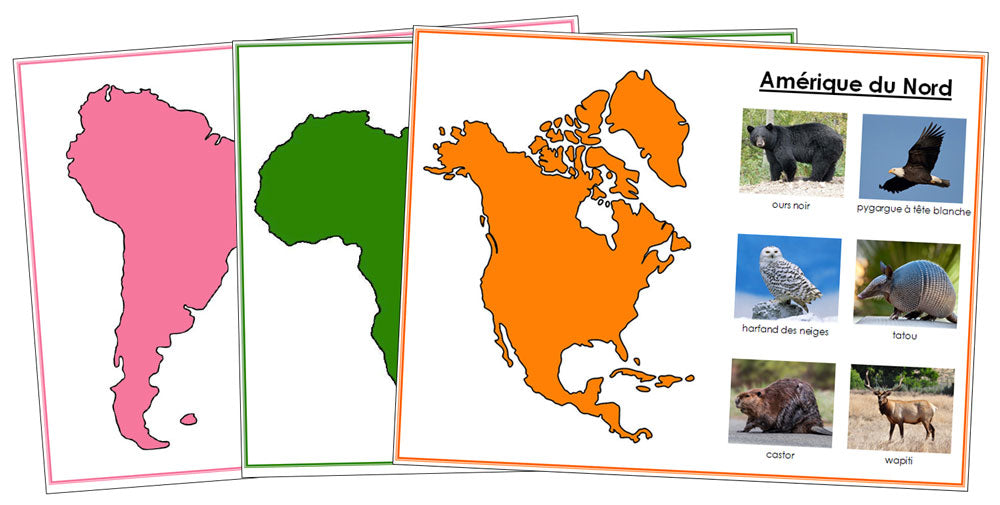 Animals of the Continents Sorting (Blackline Masters) - Montessori ...