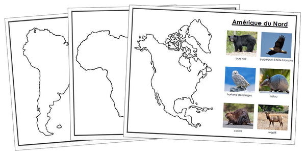 Animals of the Continents Set 2 - FRENCH - Montessori Print Shop ...